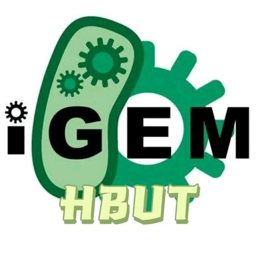 湖北工业大学iGEM 