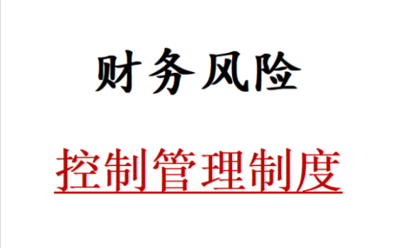 财务风险控制管理制度