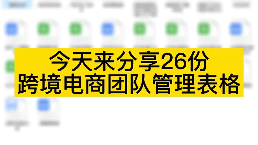 跨境电商团队管理表格(共26份)