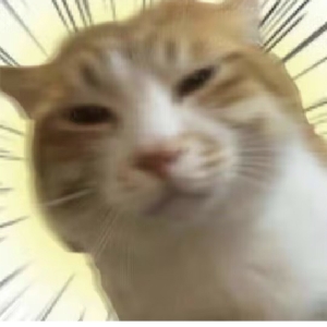 小白是个画渣 