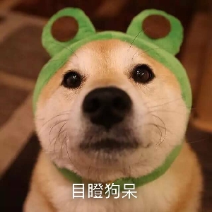 奇闻怪史君 