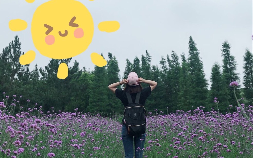 质量守恒定律part2