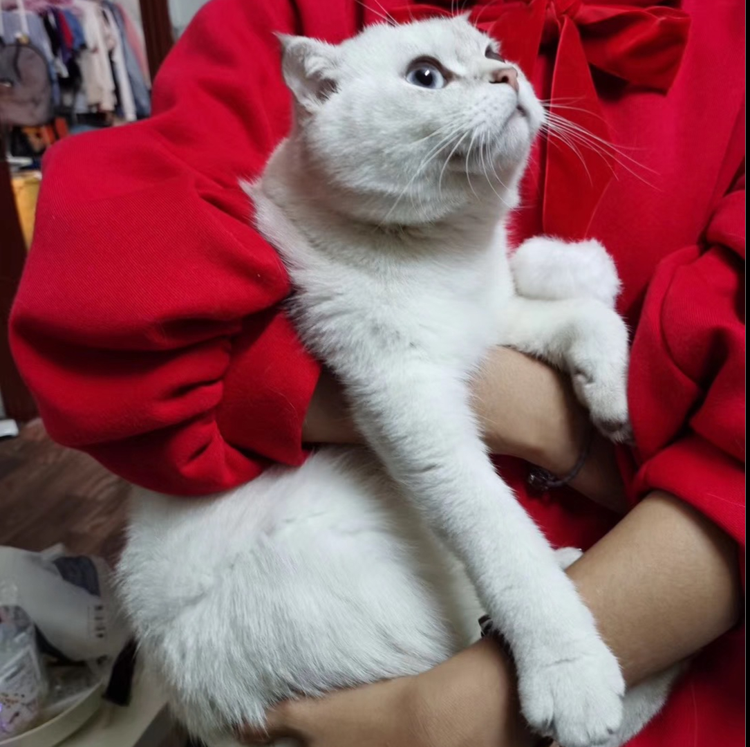 看天又下起小雨了 