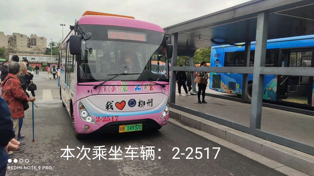 柳州公交赏花专线运行片段