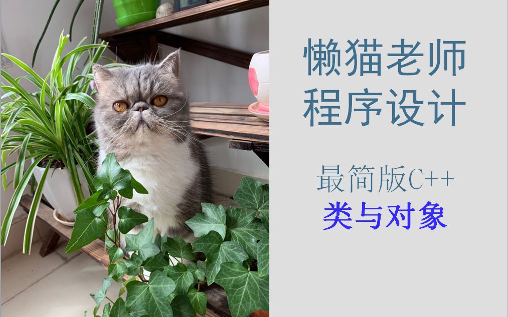 懒猫老师-最简版C++-(2)类与对象