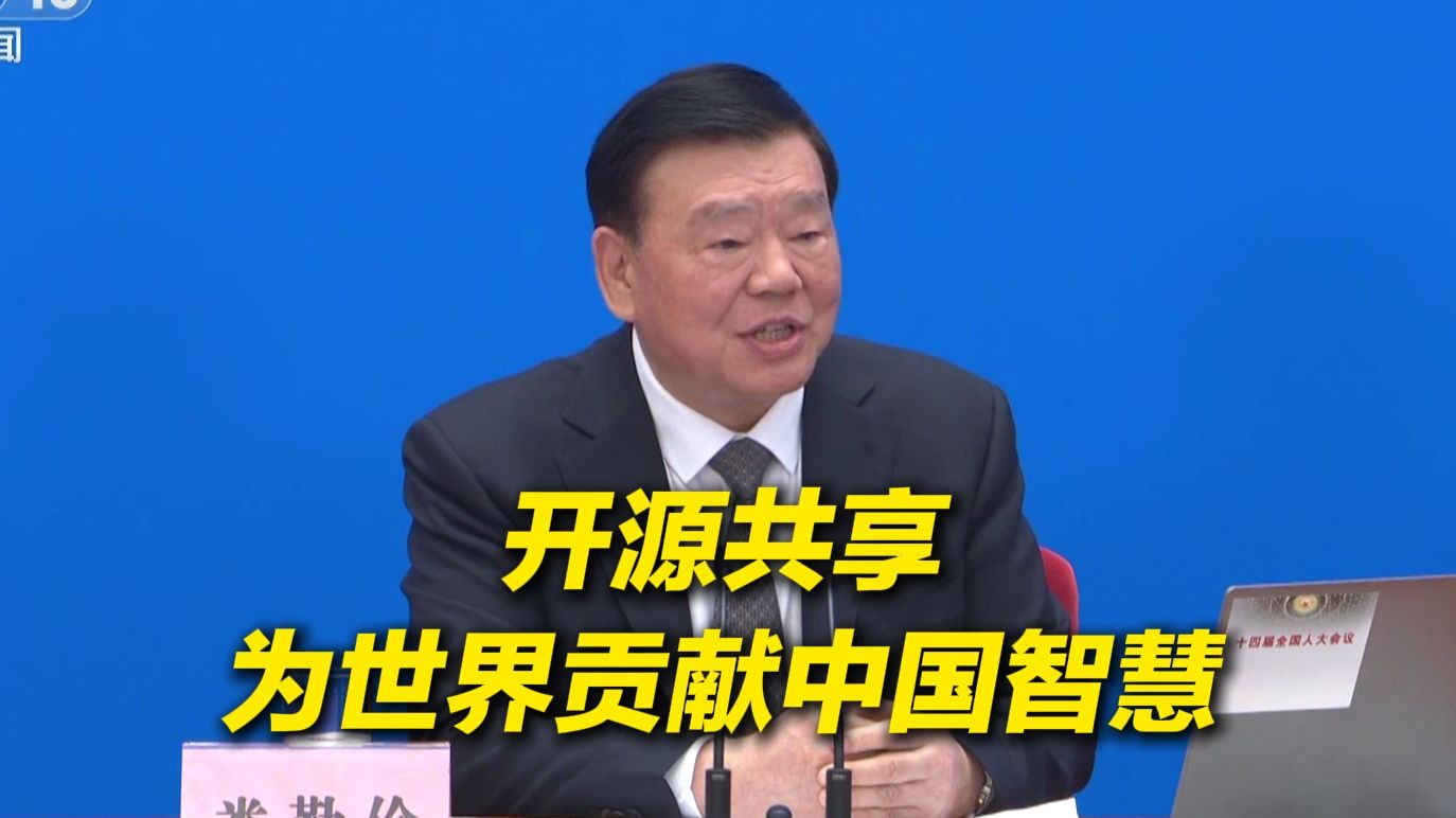 人大会议发言人点赞DeepSeek