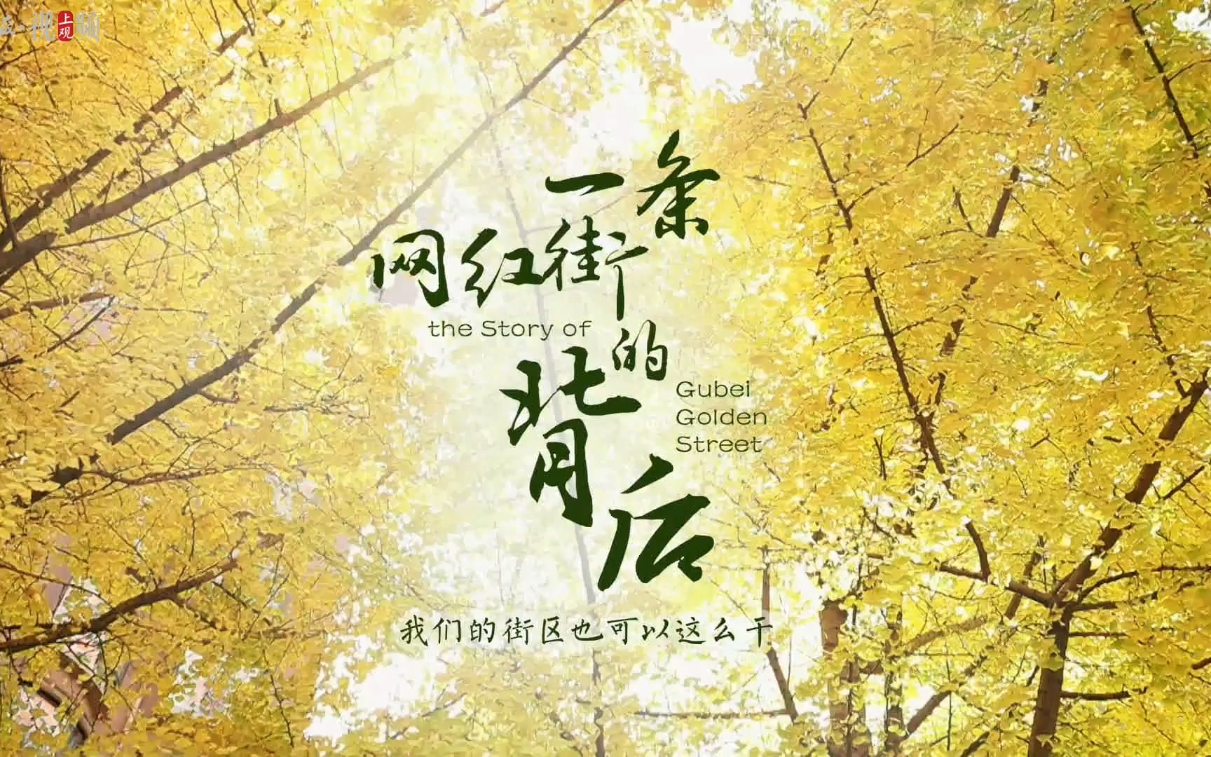 百姓话思想④|“网红街”的背后:“全过程人民民主”的生动实践