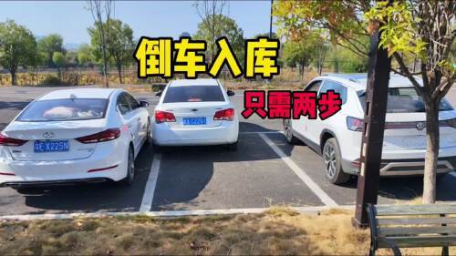 现实生活中教新手怎么倒车入库。简单实用,一看就会