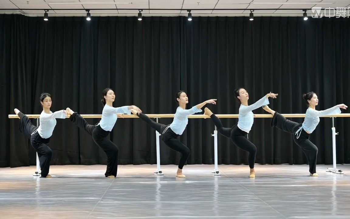舞之以生|古典舞一年级基训教材【想学就用中舞网APP】