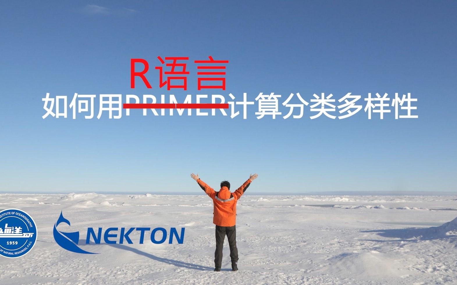 如何用R语言计算分类多样性