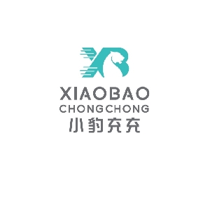 小豹充充 