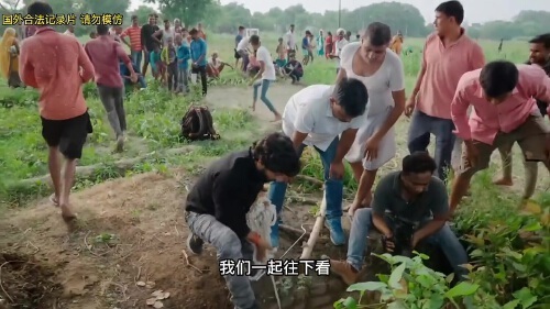 爬行动物合集:深井中狗子对战眼镜蛇
