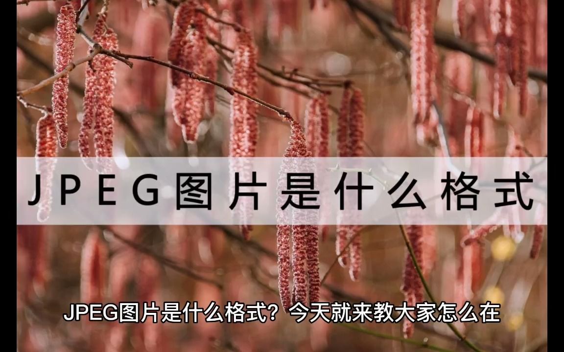 JPEG图片是什么格式?在手机上可以转格式吗?