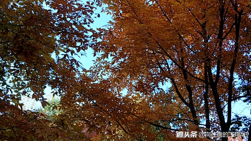 可爱的家乡——吉林省伊通满族自治县大孤山风景区
