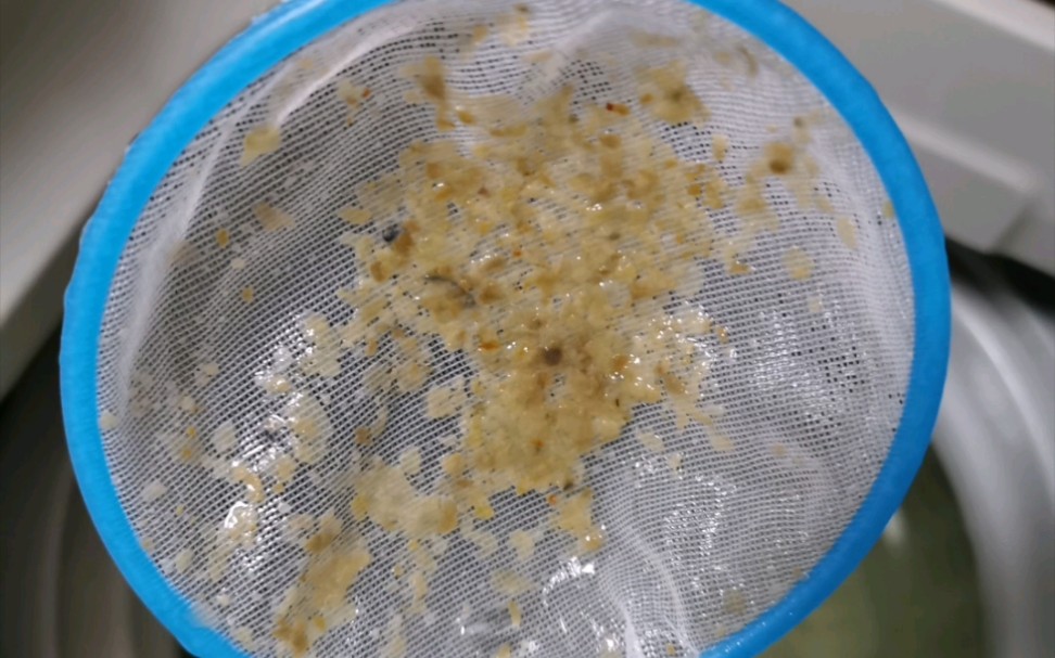 洗衣机清洁剂到底有用吗?拆机2次前后对比