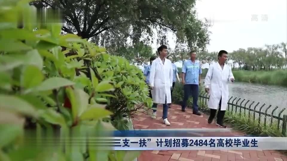 2021年山东"三支一扶"计划招募2484名高校毕业生