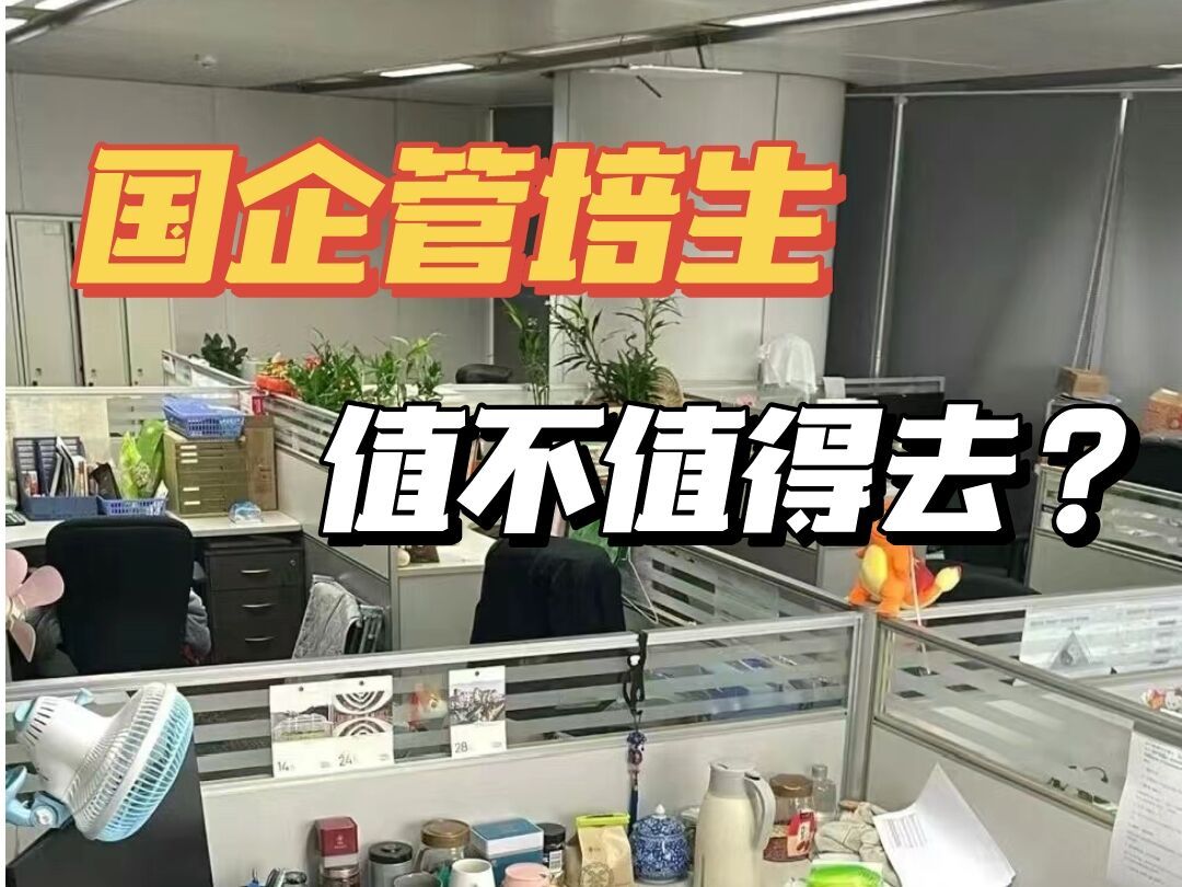 国企管培生就是培养当领导的人?3月春招国企疯狂捞人,要不要去?