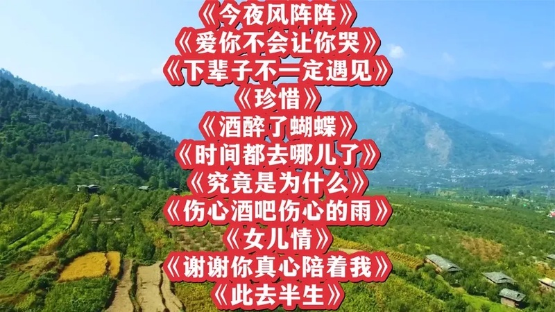 爆火情歌