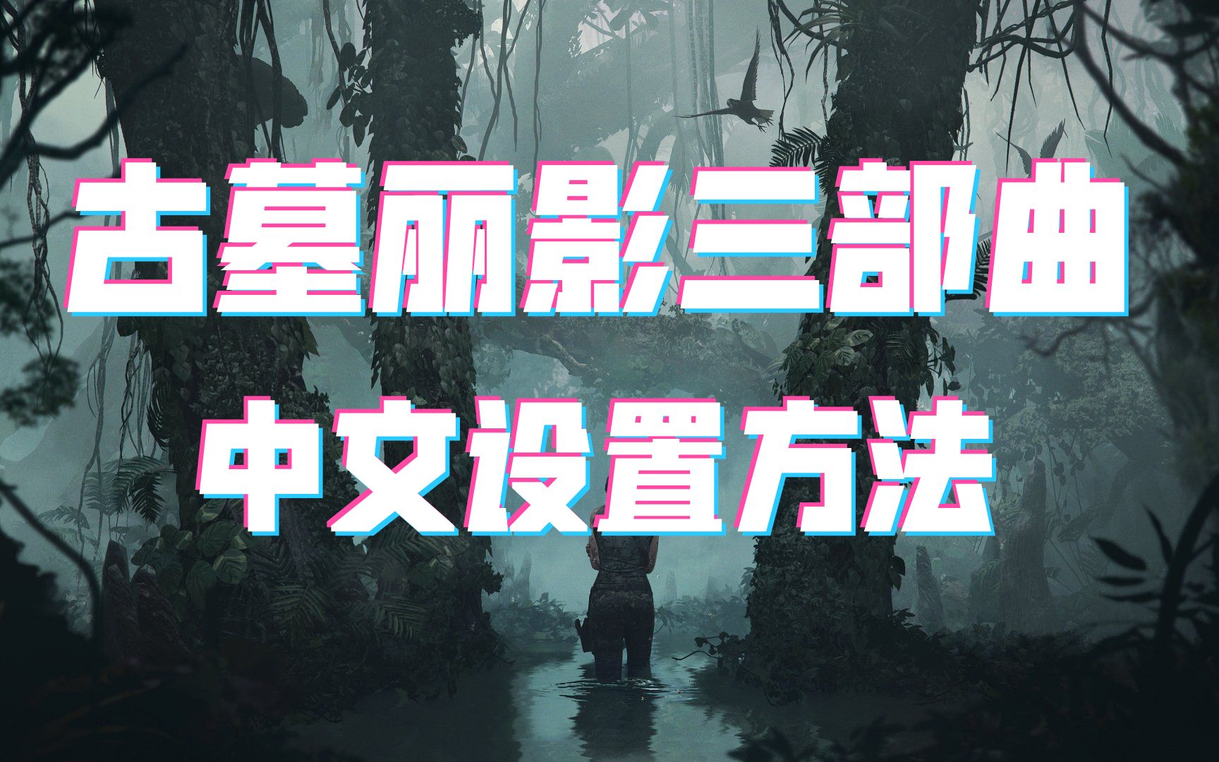 古墓丽影三部曲中文设置教程!