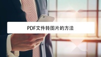 PDF文件转图片的方法.mp4