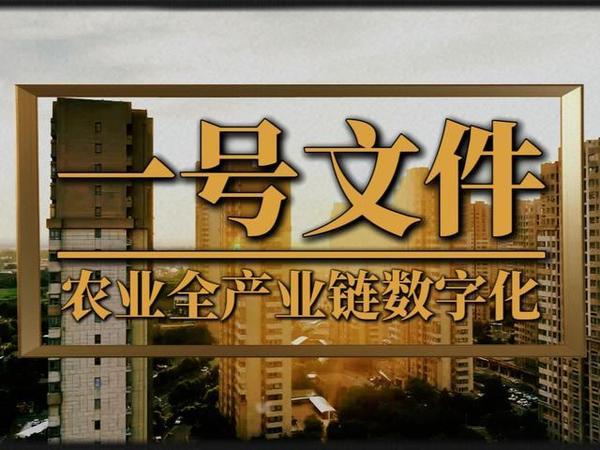 中央一号文件新风向,2025农业全产业链数字化