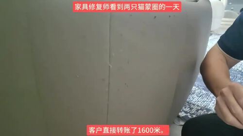 被猫抓的皮沙发修复
