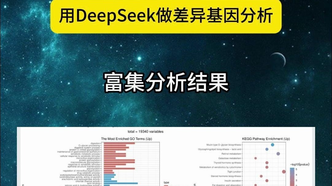 用DeepSeek做差异基因分析