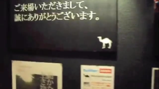 麻乃佳世-不动的生物?(机器人翻译,原日文标题看简介)