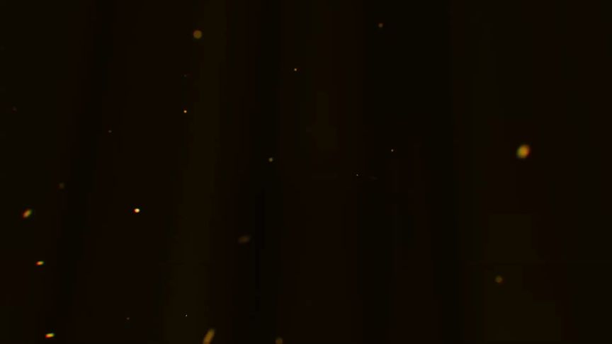 发电厂电机检修标准化作业