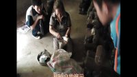 昌江矿区中学高中研究性学习课题《蘑菇的培养》制作过程图片视频