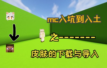 【带你入坑mc】皮肤下载与导入_我的世界_教学