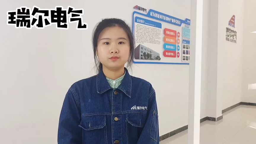 瑞尔电气电表箱知识讲解:第二代表箱“485通讯抄表”