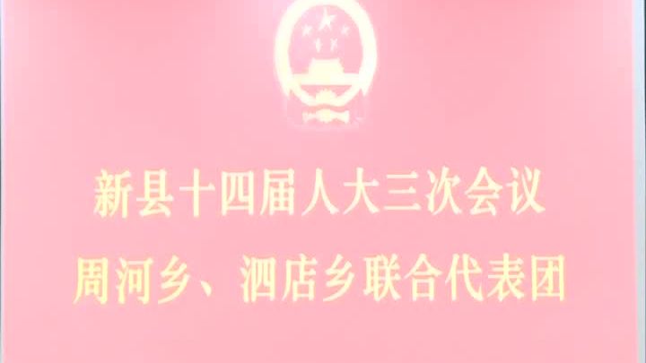 彭广益参加新县第十四届人民代表大会第三次会议代表团分组审议