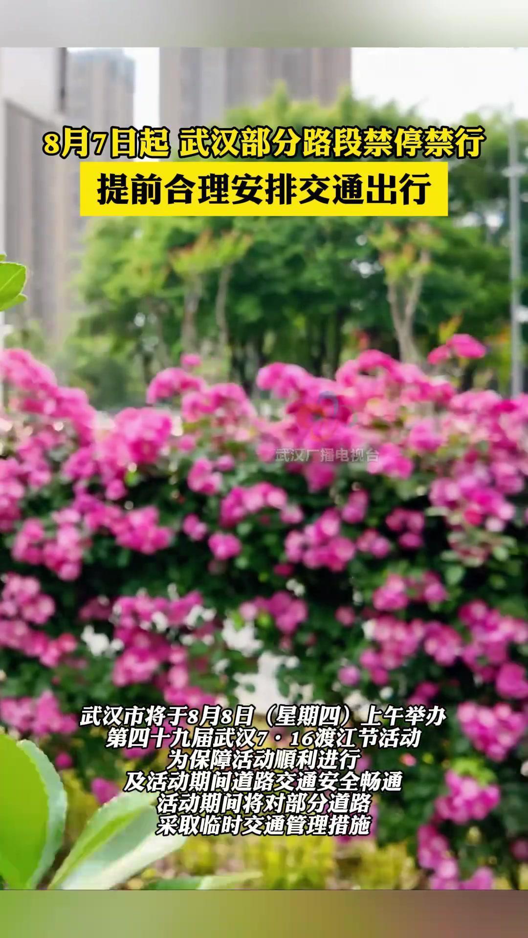 ...期间道路交通安全畅通,活动期间将对部分道路采取临时交通管理措施...