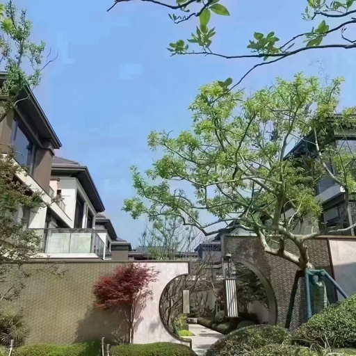 饼干GOGO 