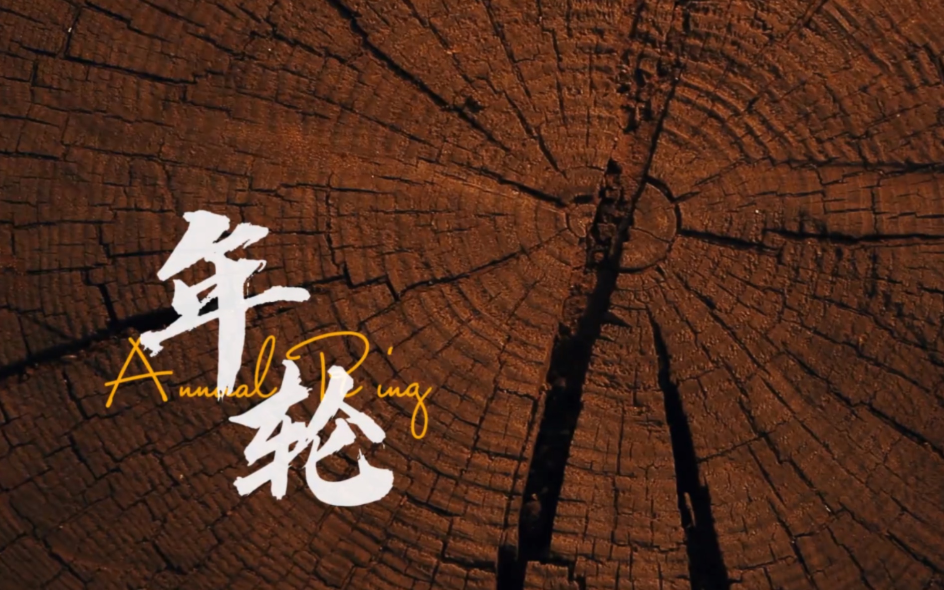 【微纪录片】大学生养老院纪录片——《年轮》