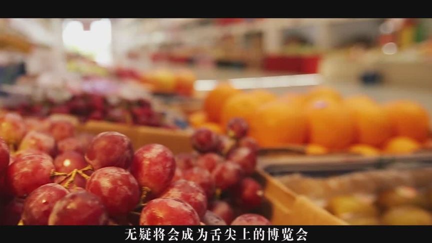 中国国际进口博览会 食品及农产品展区宣传片