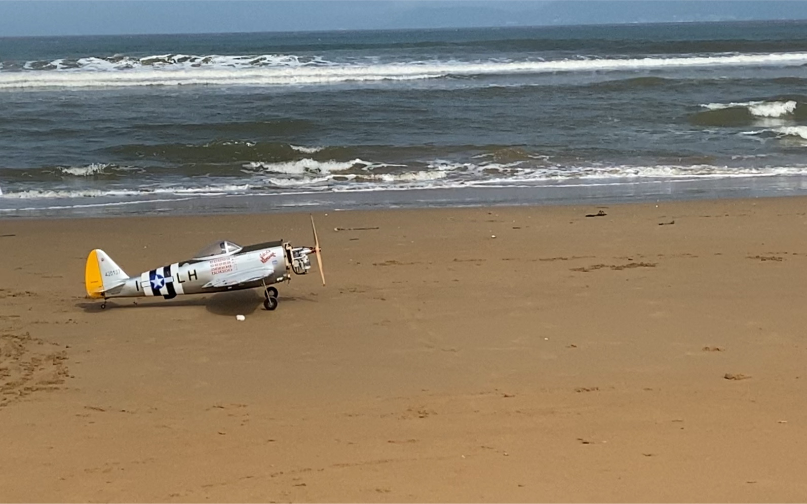 P47 航模 飞行 油动模型