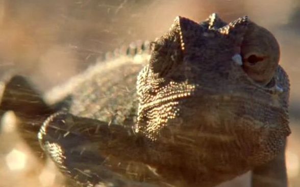 《地球脉动》纪录片地球脉动 适合儿童看的动画片