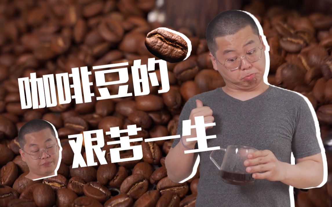 咖啡豆:我的后半生