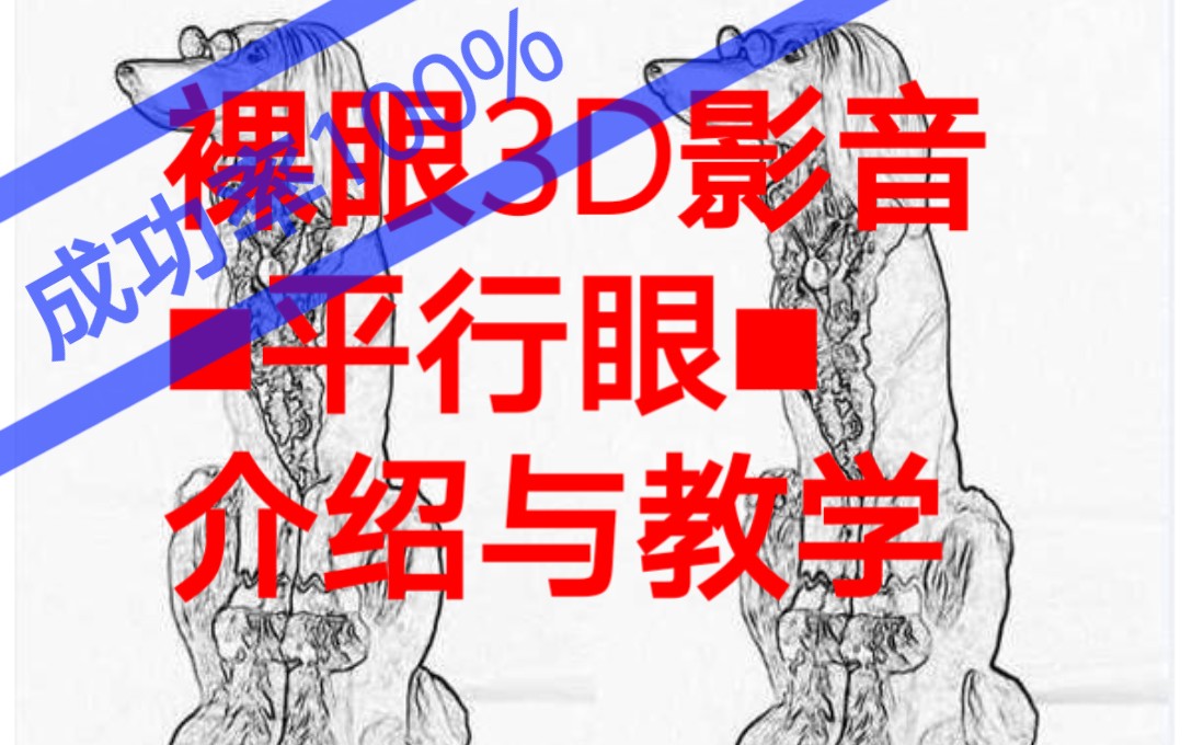 【裸眼3D/平行眼教学】干货!3分钟讲解平行眼包教包会