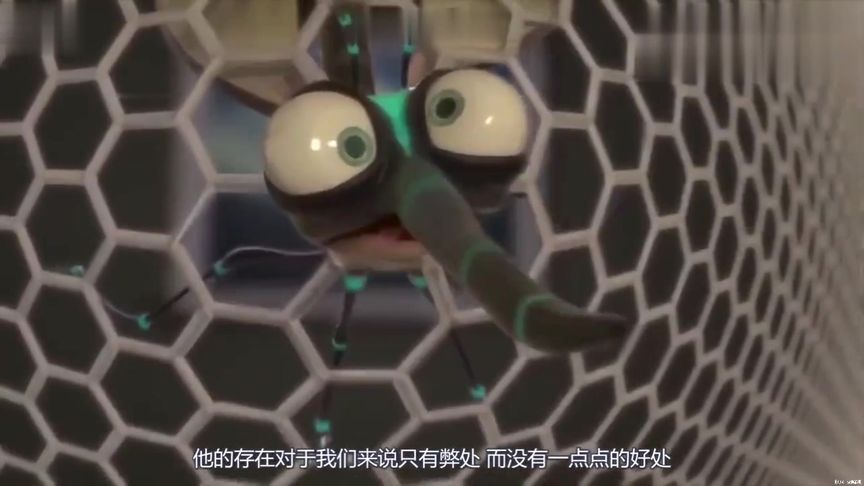 趣味短片《蚊子短暂的一生》,原来蚊子就是这么作死的