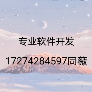 软件开发定制小梅 
