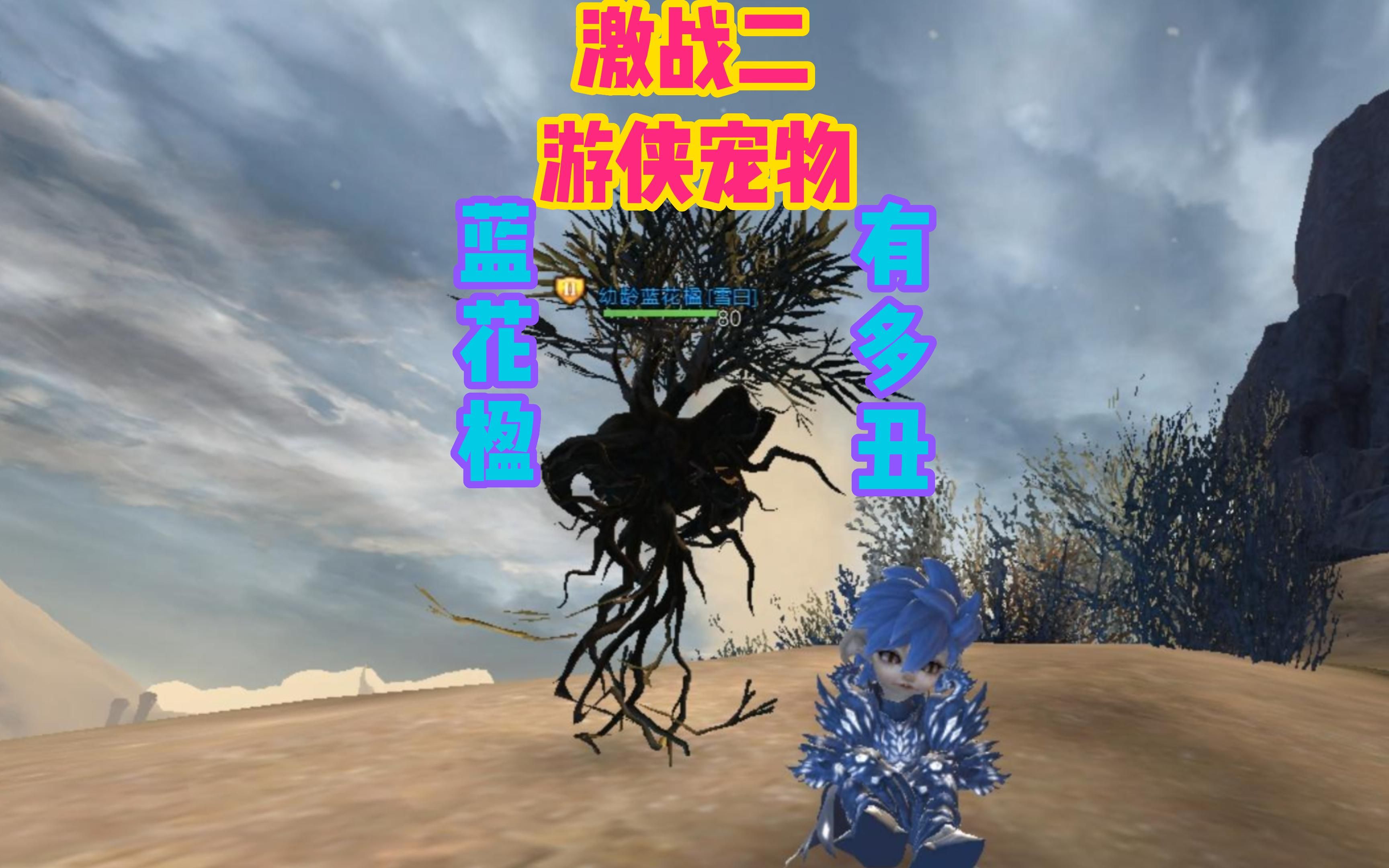 激战二.游侠宠物.蓝花楹.驯服攻略