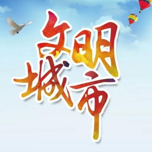 认真的小市民 