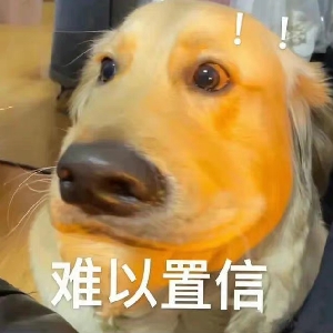 我不信红豆泥 