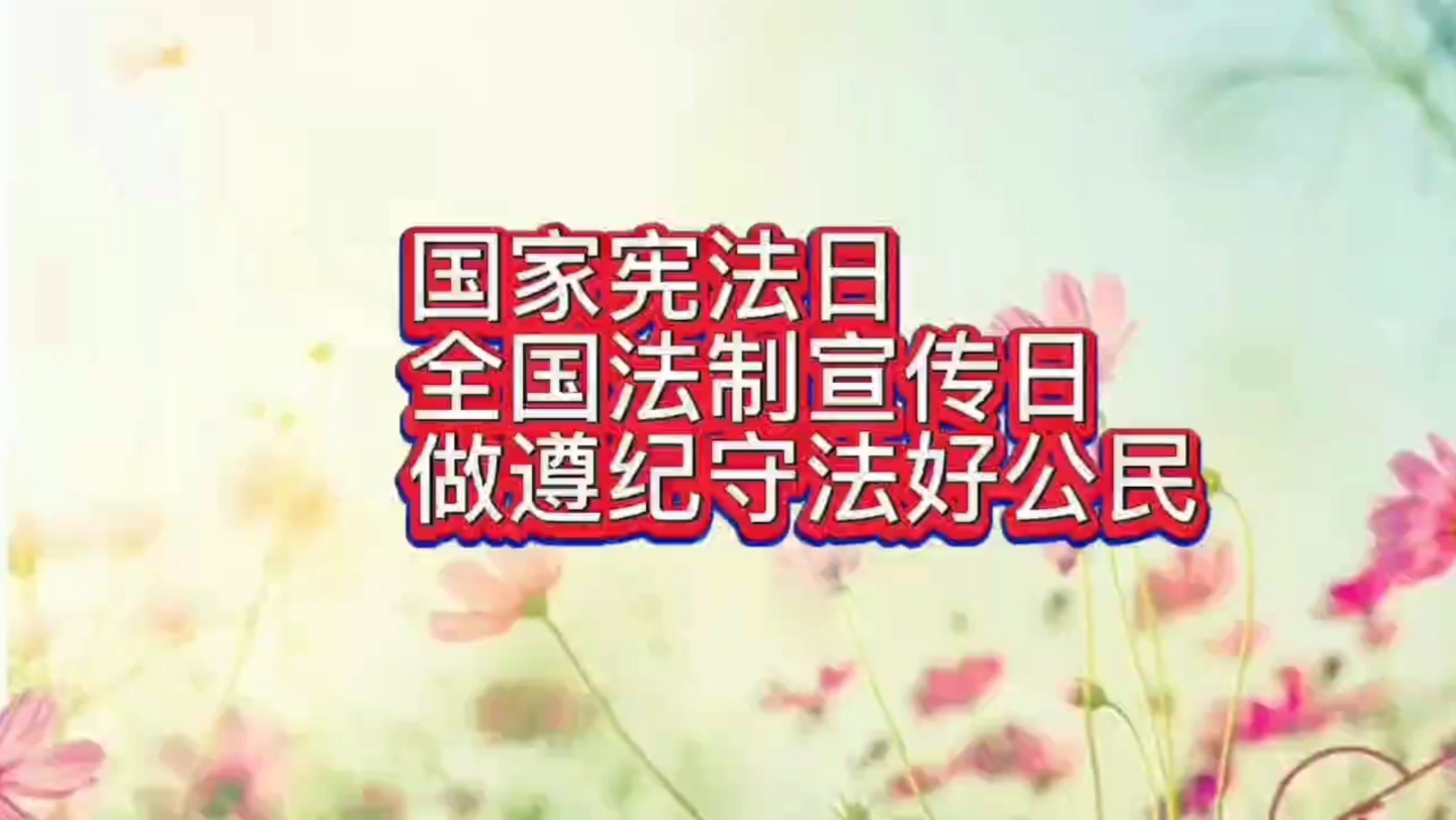 国家宪法日全国法制宣传日做遵纪守法公民