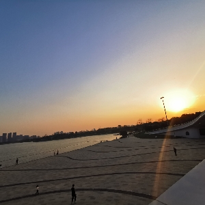 在线作法不秃头 