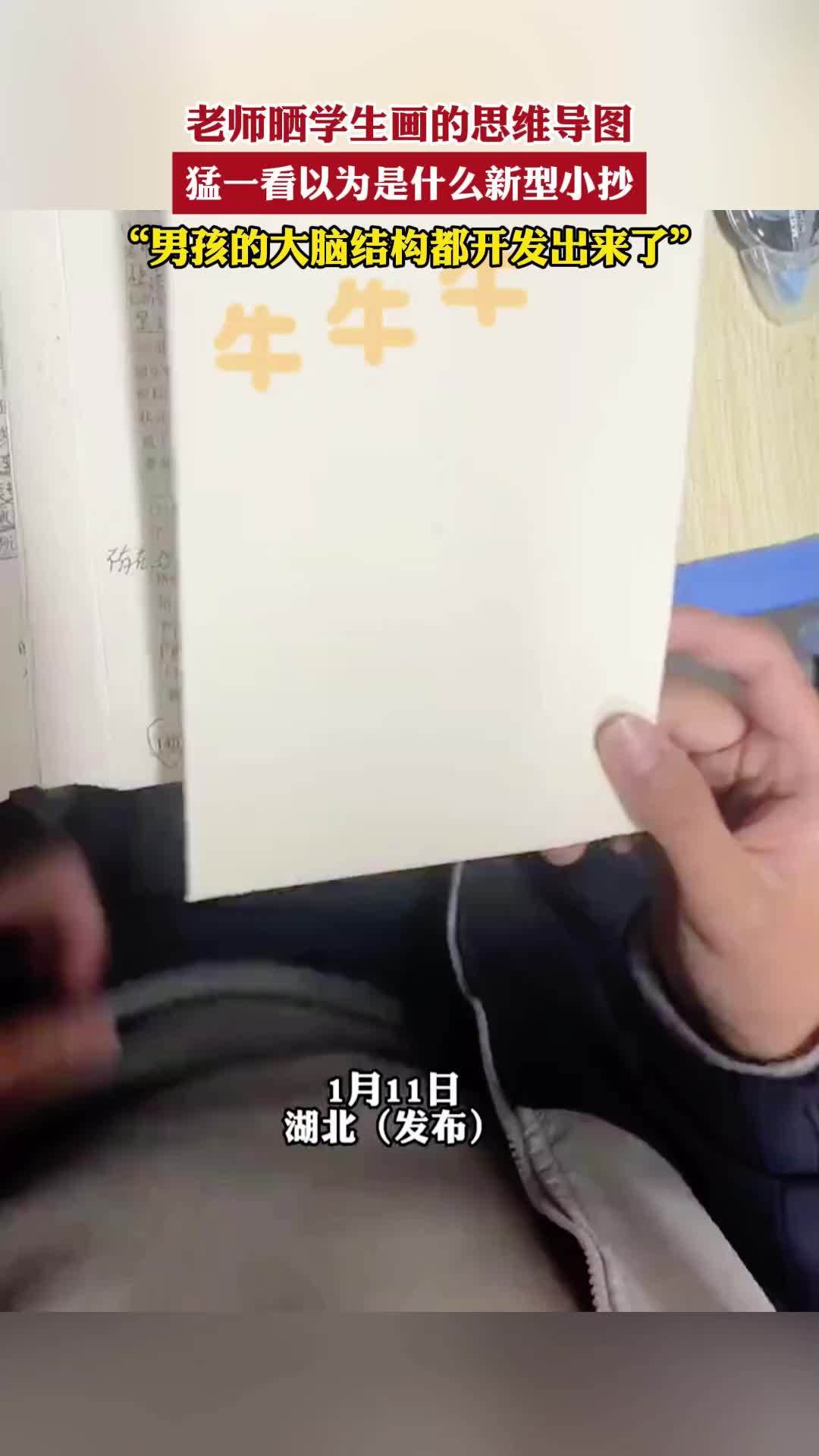 老师晒学生画的思维导图,猛一看以为是什么新型小抄