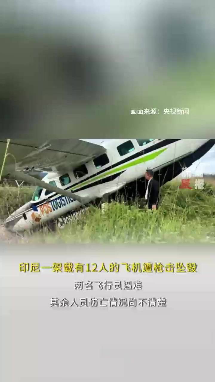 印尼一架载有12人的飞机遭枪击坠毁,两名飞行员遇难